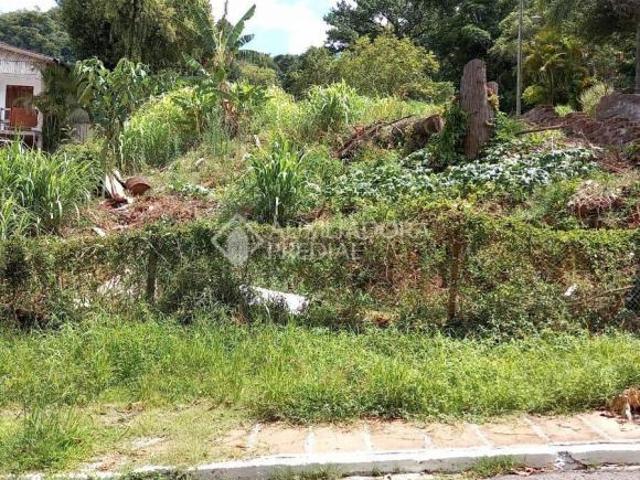 Terreno no bairro Vila Nova