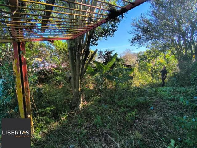 Terreno no bairro Vila Nova