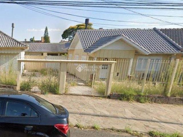 TERRENO no bairro Vila Ipiranga, com uma casa, 10 m por 30m