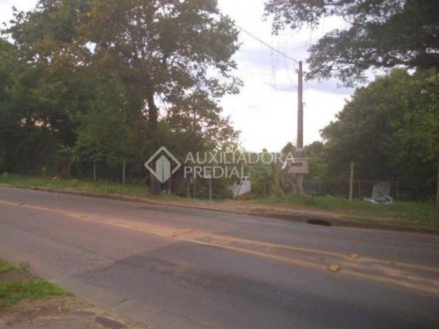 Terreno no bairro Agronomia