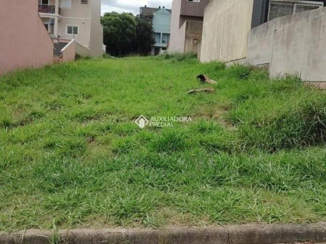 Terreno no bairro Alto Petrópolis