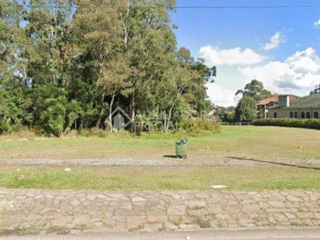 Terreno no bairro Avenida Central