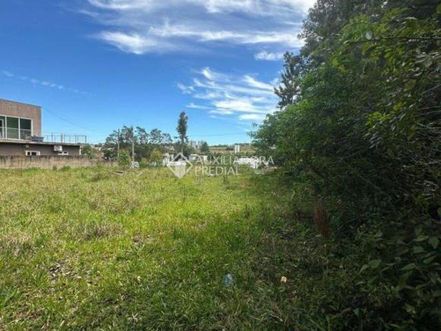 terreno no bairro Canudos em Novo Hamburgo