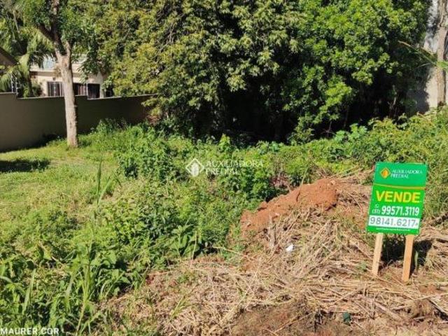 Terreno no bairro Carneiros