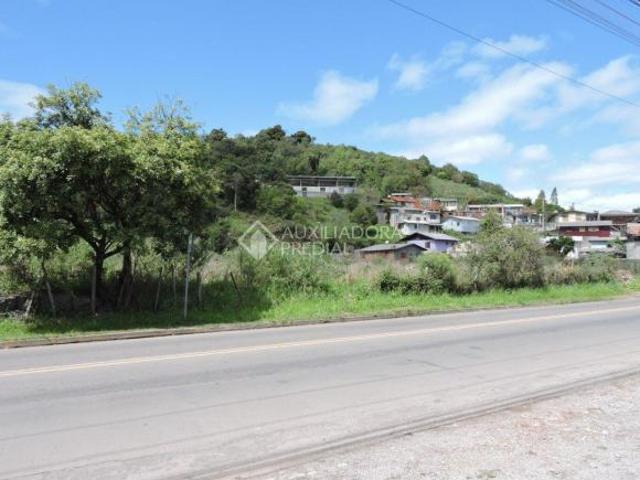 Terreno no bairro Centenário