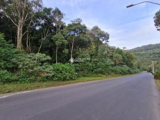 Terreno no bairro Centro