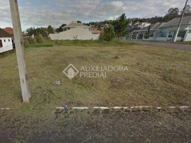 Terreno no bairro Centro