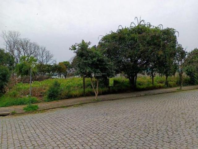 Terreno no bairro Cinqüentenário