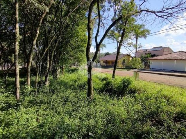 Terreno no bairro Cidade Nova Ivoti