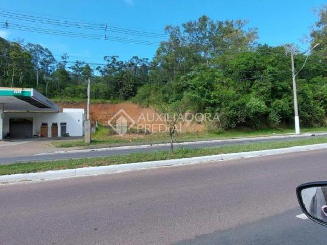 Terreno no bairro Colina