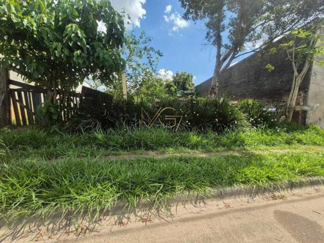 Terreno no Bairro Costeira SJP