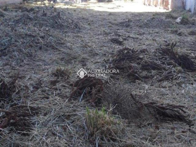 Terreno no bairro Cristo Redentor