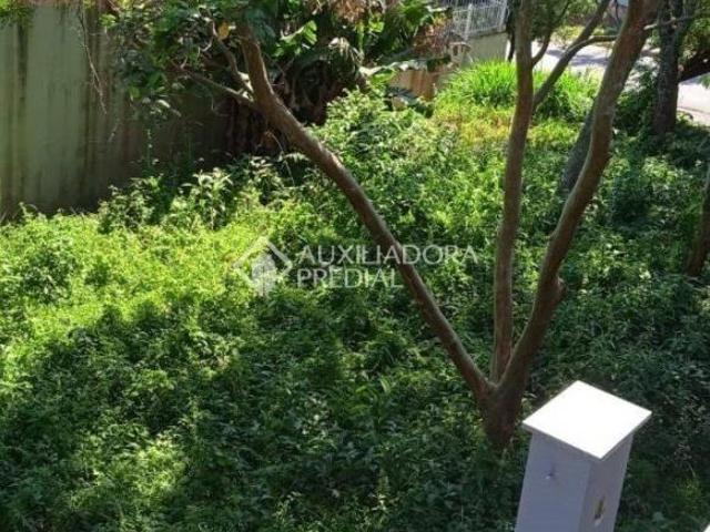 Terreno no bairro Cristo Rei em São Leopoldo