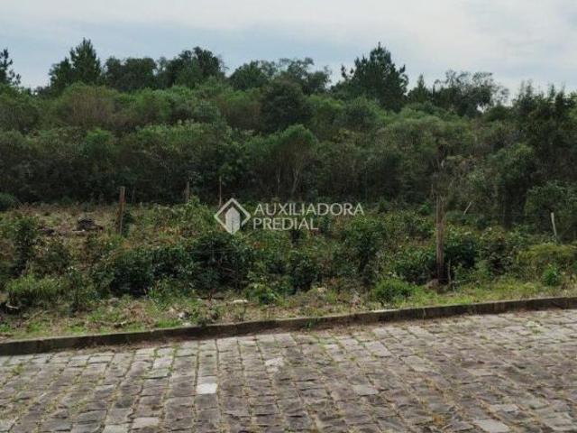 Terreno no bairro Desvio Rizzo