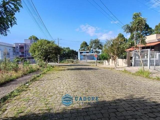 TERRENO NO BAIRRO DESVIO RIZZO
