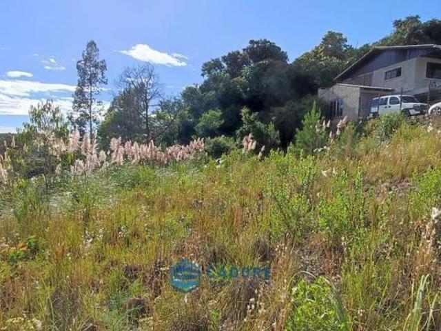 TERRENO NO BAIRRO DESVIO RIZZO com 322m²