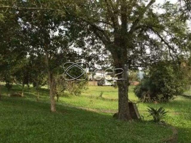 Terreno no bairro Desvio Rizzo em Caxias do Sul