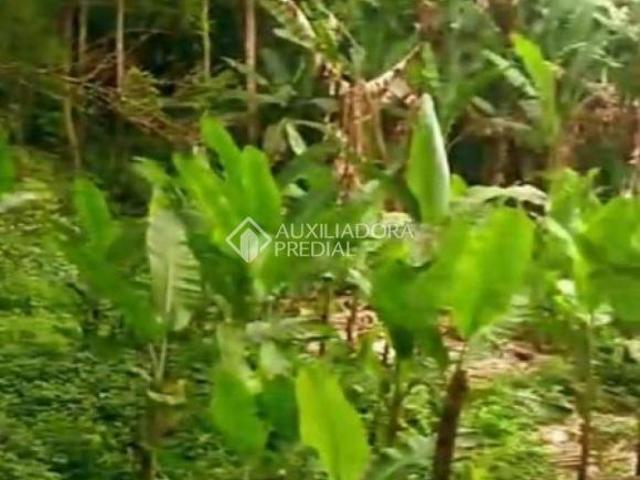 TERRENO NO BAIRRO DOS FINCO RIACHO GRANDE SÃO BERNARDO DO CAMPO