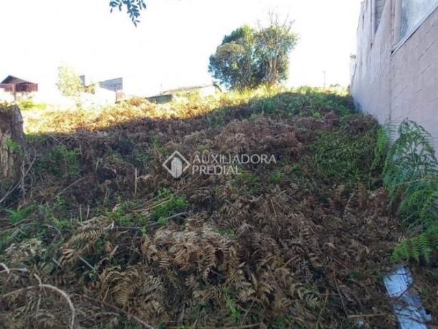 Terreno no bairro Esplanada