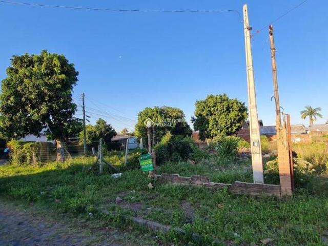 Terreno no bairro Feitoria