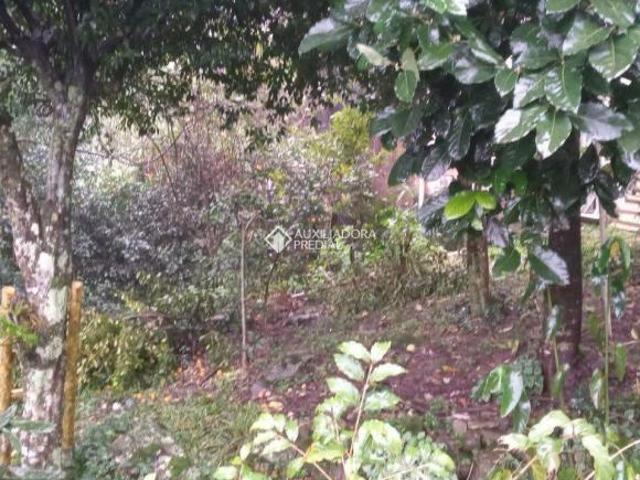 Terreno no bairro Floresta