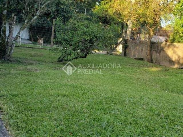 Terreno no bairro Florida