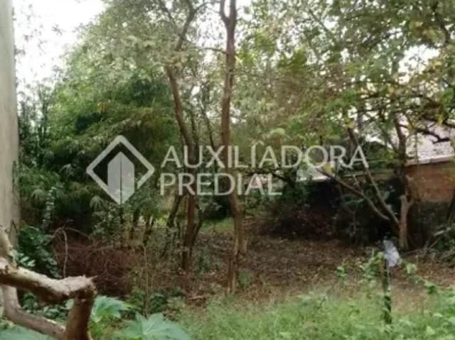 Terreno no bairro Glória
