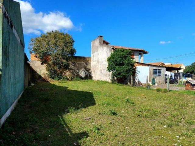 Terreno no bairro Glória