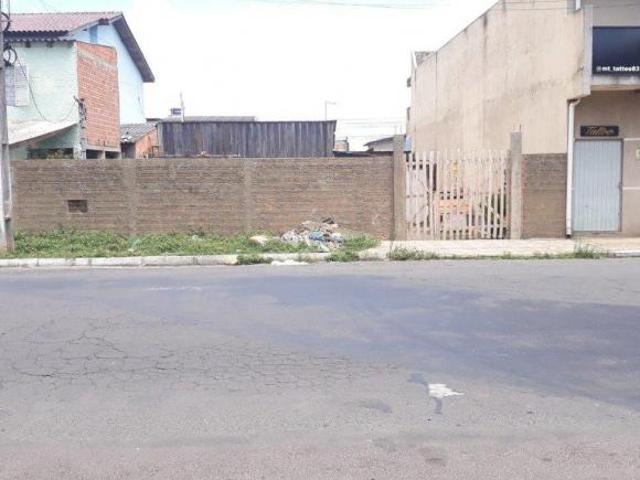 Terreno no bairro Guajuviras