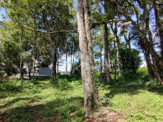 Terreno no bairro Harmonia