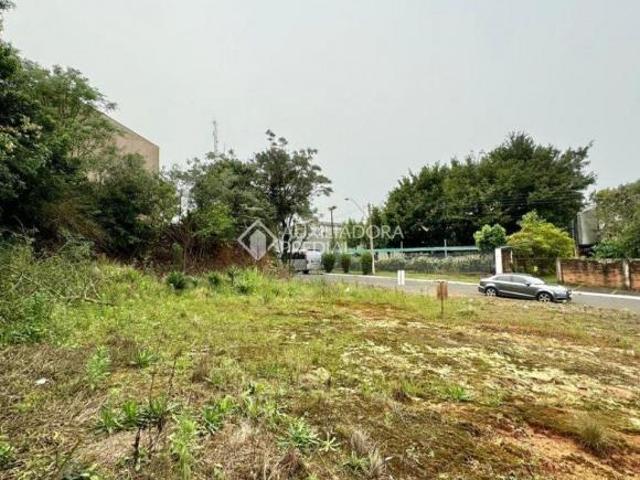Terreno no bairro Ideal