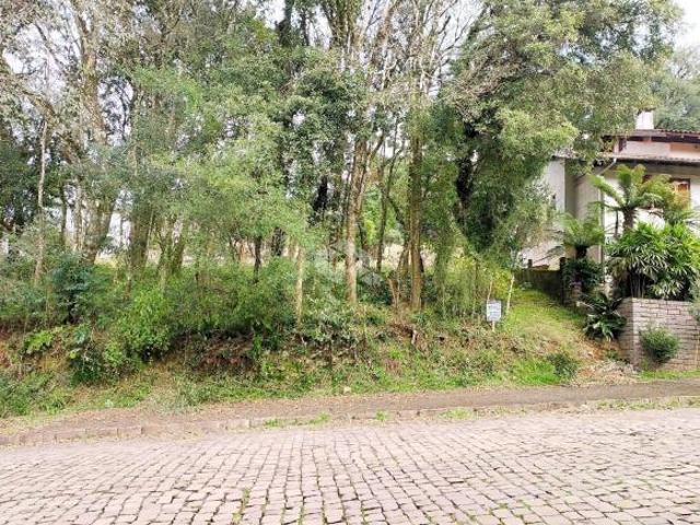 Terreno no bairro Imigrante com 15 x 32 m !
