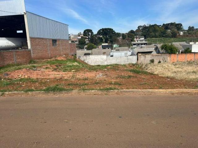 Terreno no Bairro Industrial, Rua Miguel Losso, 450m2 ótima oportunidade