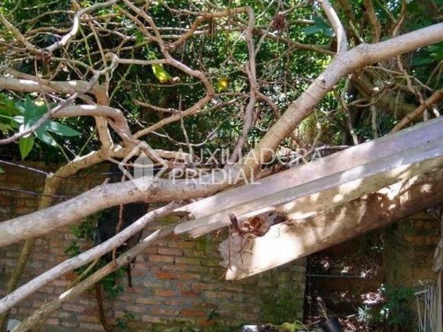 Terreno no bairro Jardim Botânico