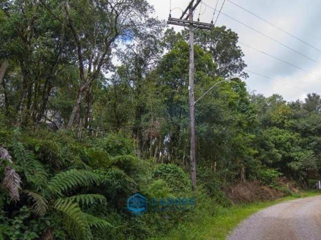TERRENO NO BAIRRO SERRANO