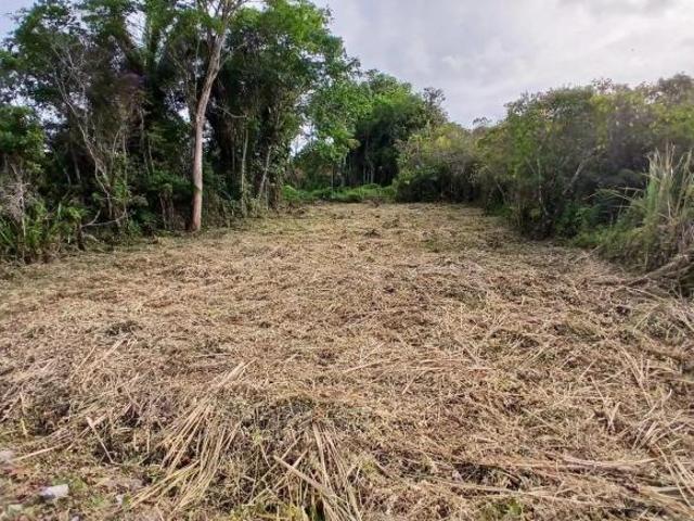 TERRENO NO BAIRRO JARDIM FÊNIX EM ITANHAÉM