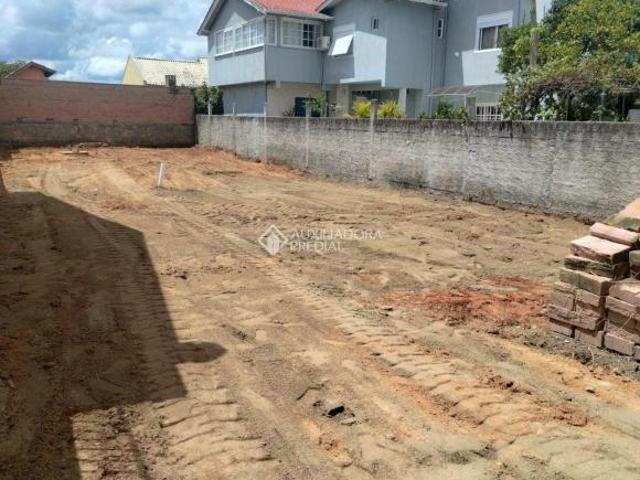 Terreno no Bairro Jardim Leopoldina com área total de 305 m ². Terreno com 10 x 30,5