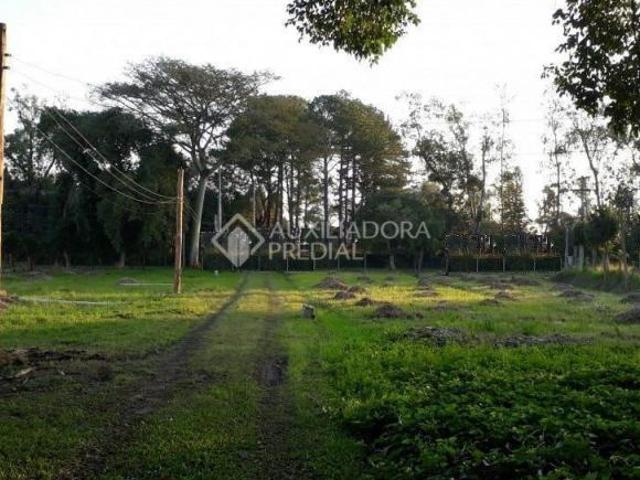 Terreno no bairro Lami