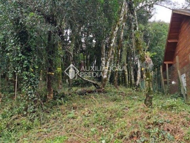 Terreno no bairro Leodoro De Azevedo