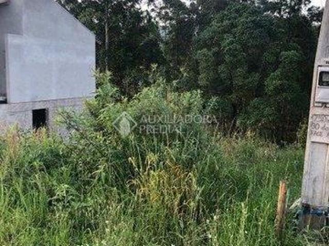 Terreno no bairro LOTEAMENTO LAGO II