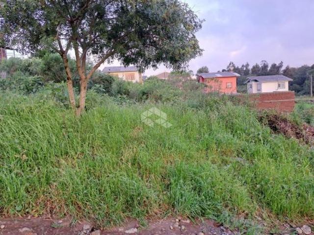 TERRENO NO BAIRRO MONTE VERDE CIDADE DE FARROUPILHA