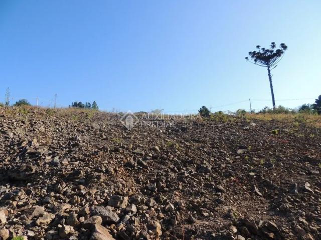 Terreno no bairro Moura