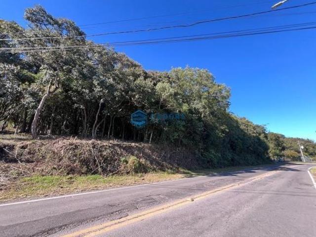 TERRENO NO BAIRRO NOSSA SENHORA DAS GRAÇAS
