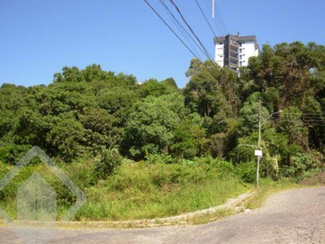 Terreno no bairro Panazzolo