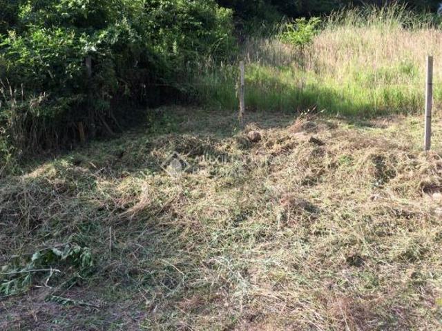 Terreno no bairro Panazzolo