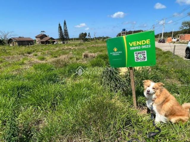 Terreno no bairro PALMITAL