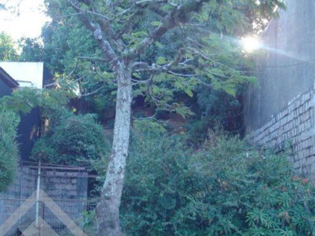 Terreno no bairro Partenon