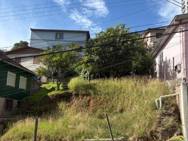 Terreno no Bairro Petrópolis, com 312 m2