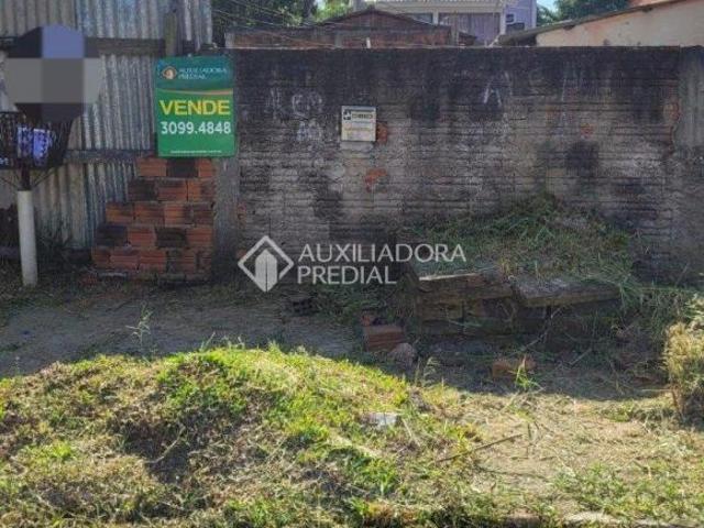 Terreno no bairro Pinheiro
