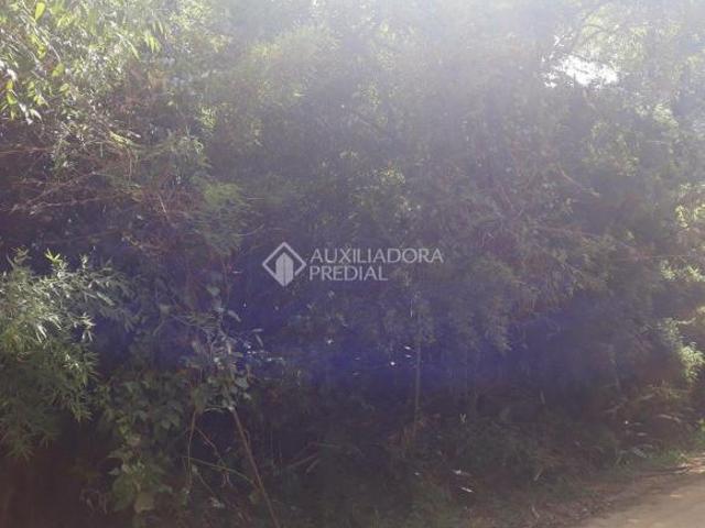Terreno no bairro Ponta Grossa
